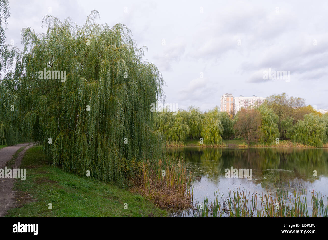 View on path pond hi-res stock photography and images - Alamy