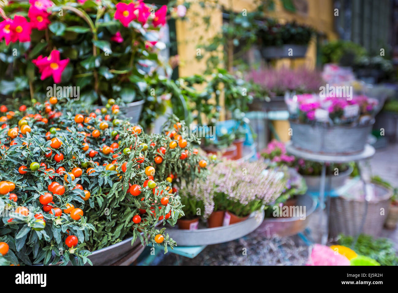 Flower stand in the center of Copengahen, Denmark Stock Photo - Alamy