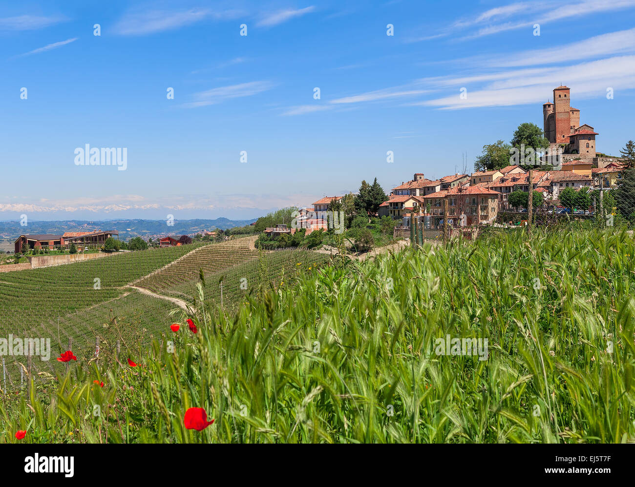 Red poppies among green grass and small town with medieval castle on ...
