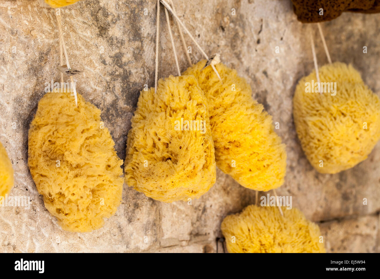 Natural sponge in different shapes on boat stall in Greece Stock Photo ...