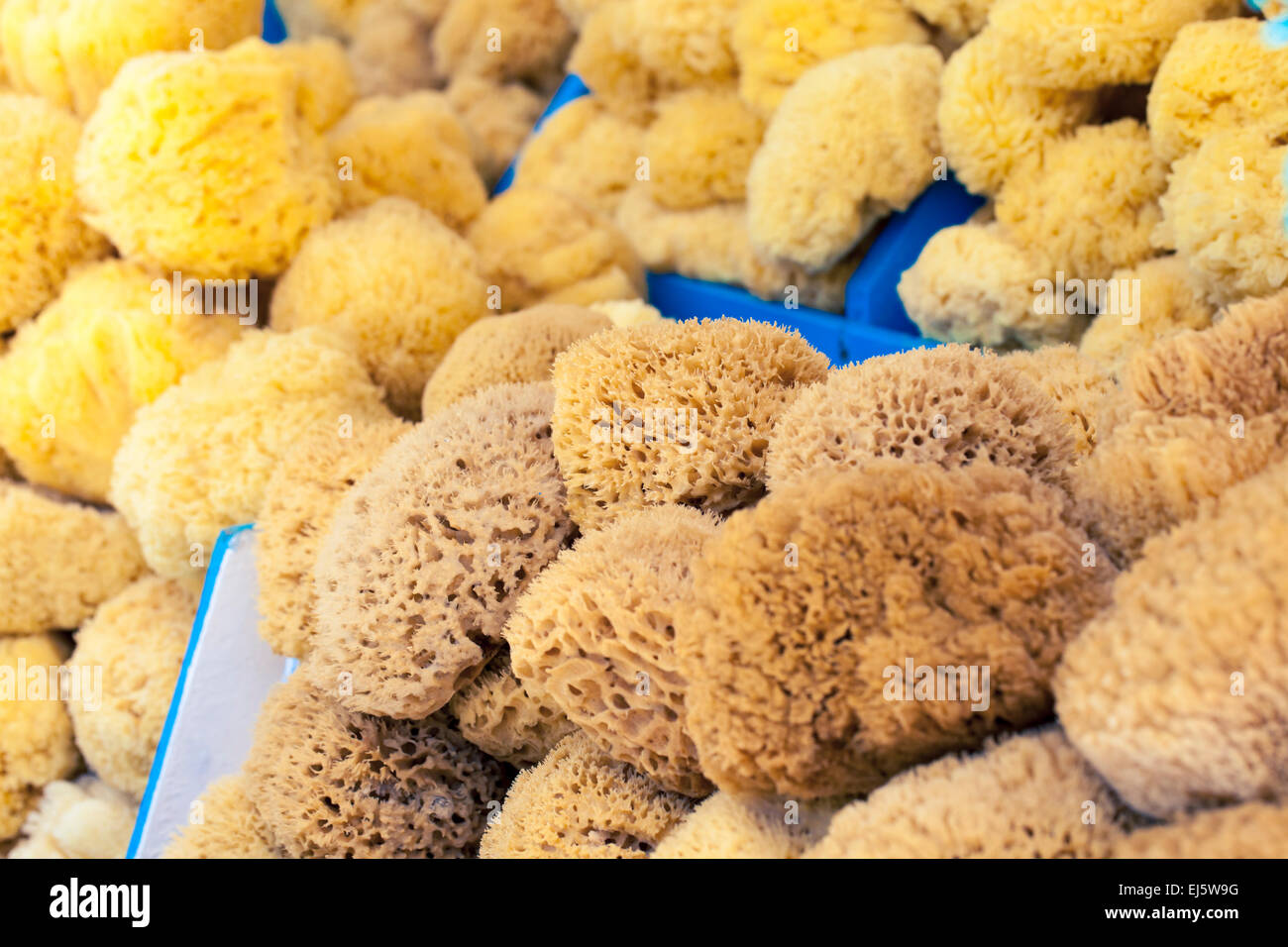 Natural sponge in different shapes on boat stall in Greece Stock Photo ...