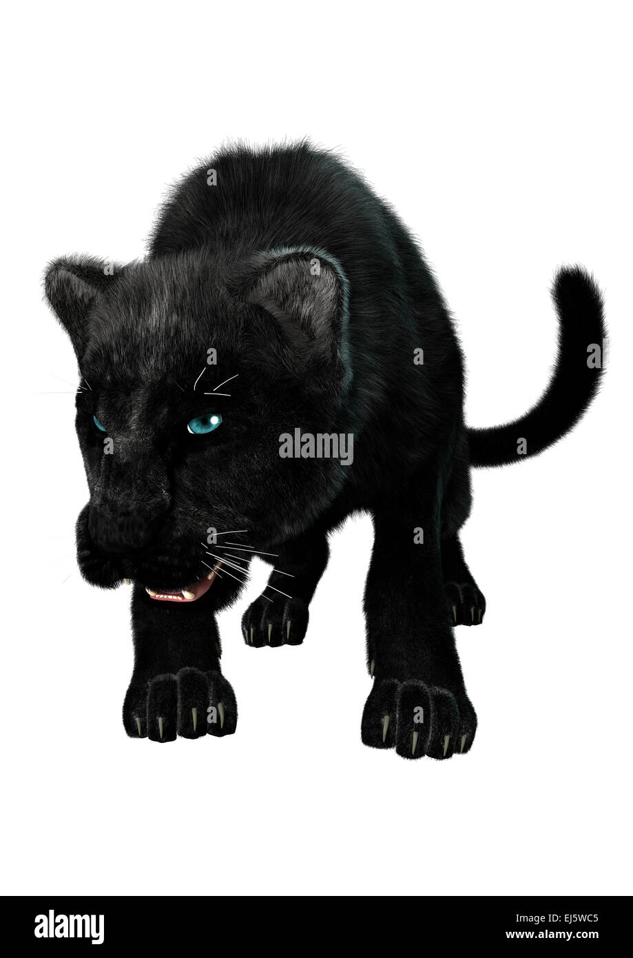 3D digital render of a black panther isolated on white background Stock ...