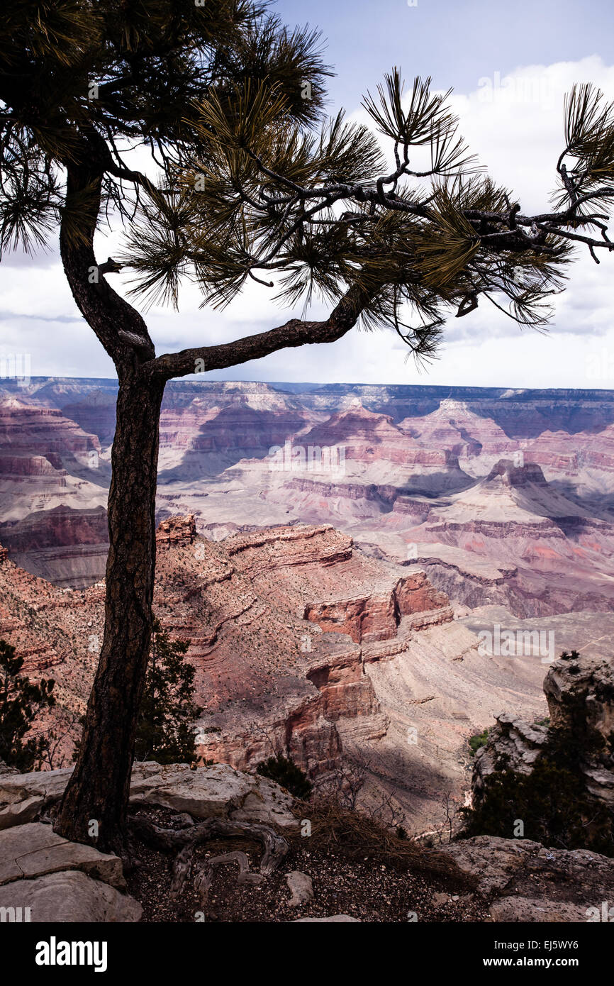 Grand Canyon National Park, Arizoan, USA Stock Photo - Alamy