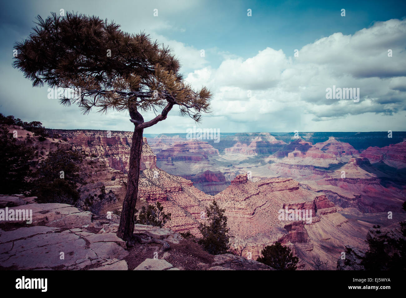 Grand Canyon National Park, Arizoan, USA Stock Photo - Alamy