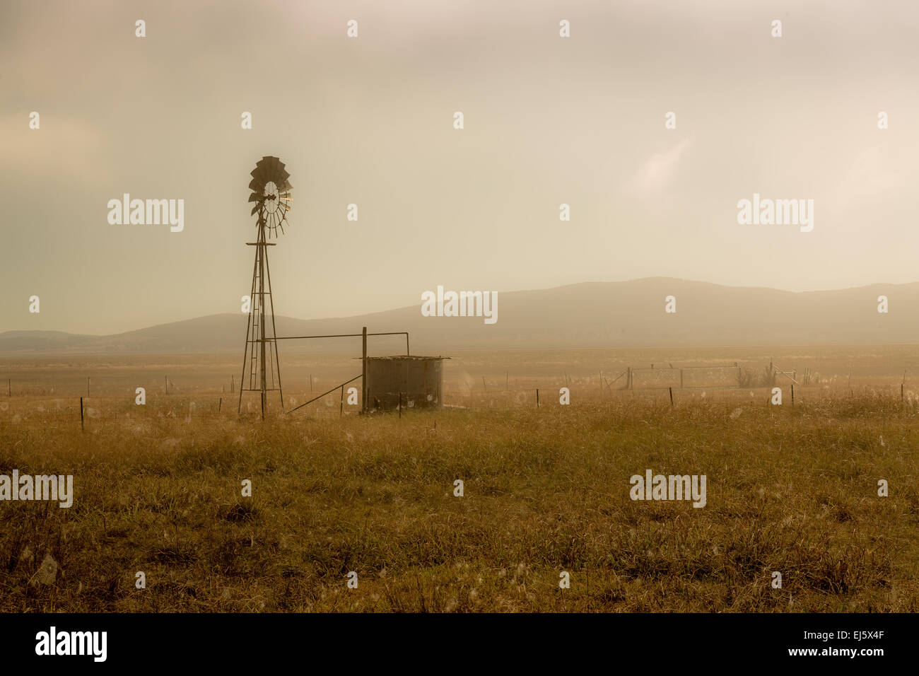 A windmill and a water bore tank on a flat open expanse of land on a ...
