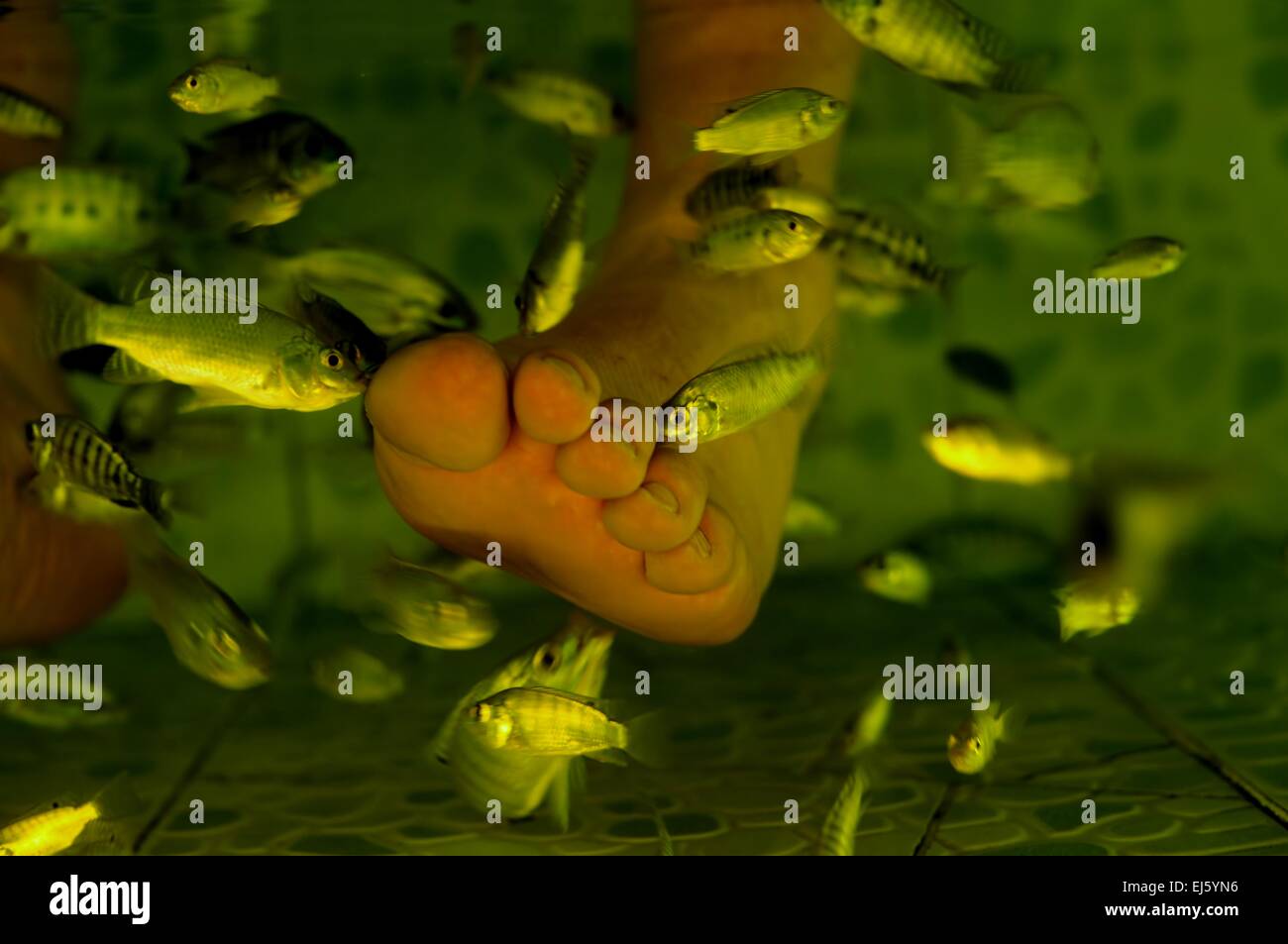 Fish massage hi-res stock photography and images - Alamy
