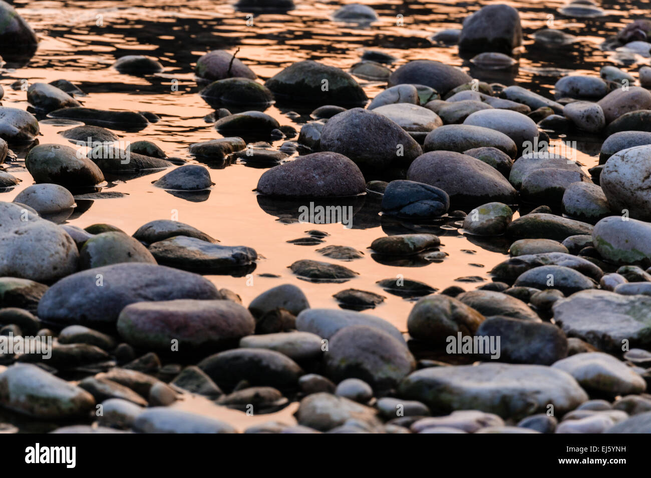 Reflection of the sun in water at the sunset Stock Photo - Alamy