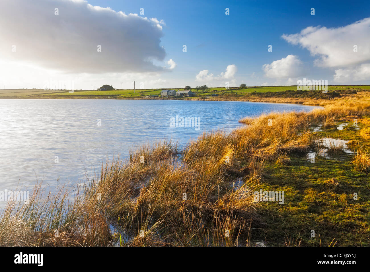 Dozmary Pool Lake on Bodmin Moor Cornwall England. It is one site that ...