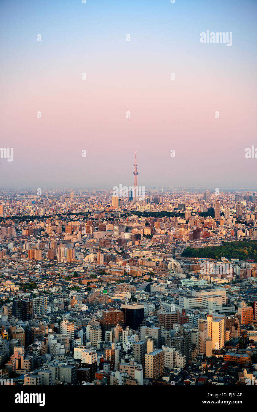 Tokyo Skytree and urban skyline rooftop view at sunset, Japan Stock ...