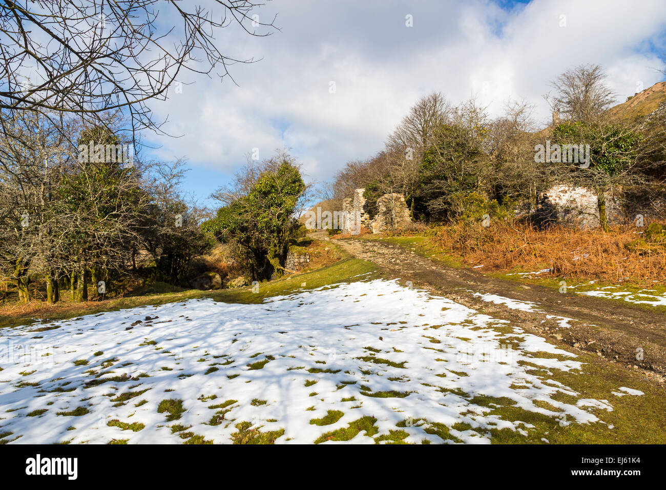 Mining remains in the Seaton Valley at South Caradon Mine on the edge ...