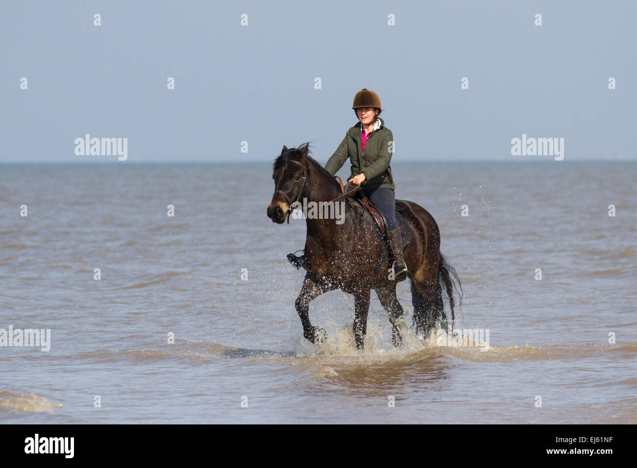 Galloping exercises hi-res stock photography and images - Alamy