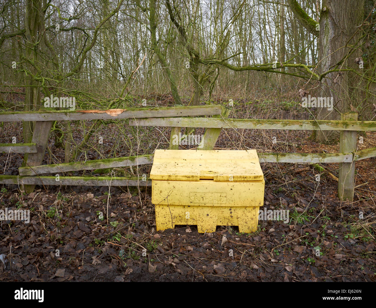 Salt container hi-res stock photography and images - Alamy