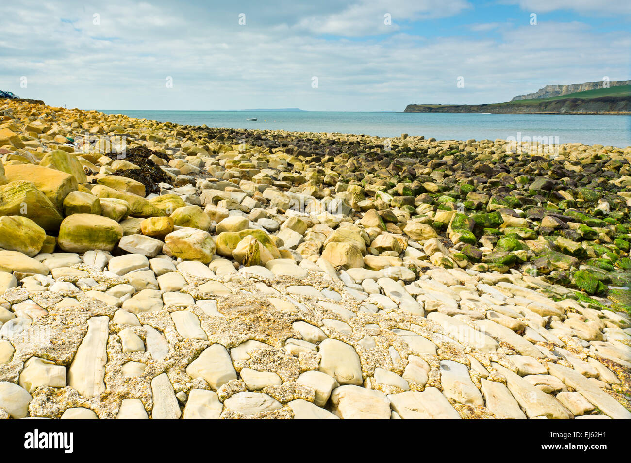 Beach at Kimmeridge Bay, Dorset, England Stock Photo - Alamy