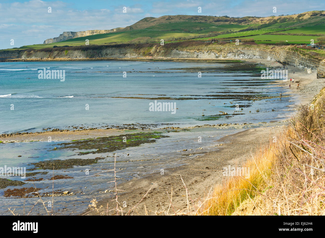 Beach at Kimmeridge Bay, Dorset, England Stock Photo - Alamy