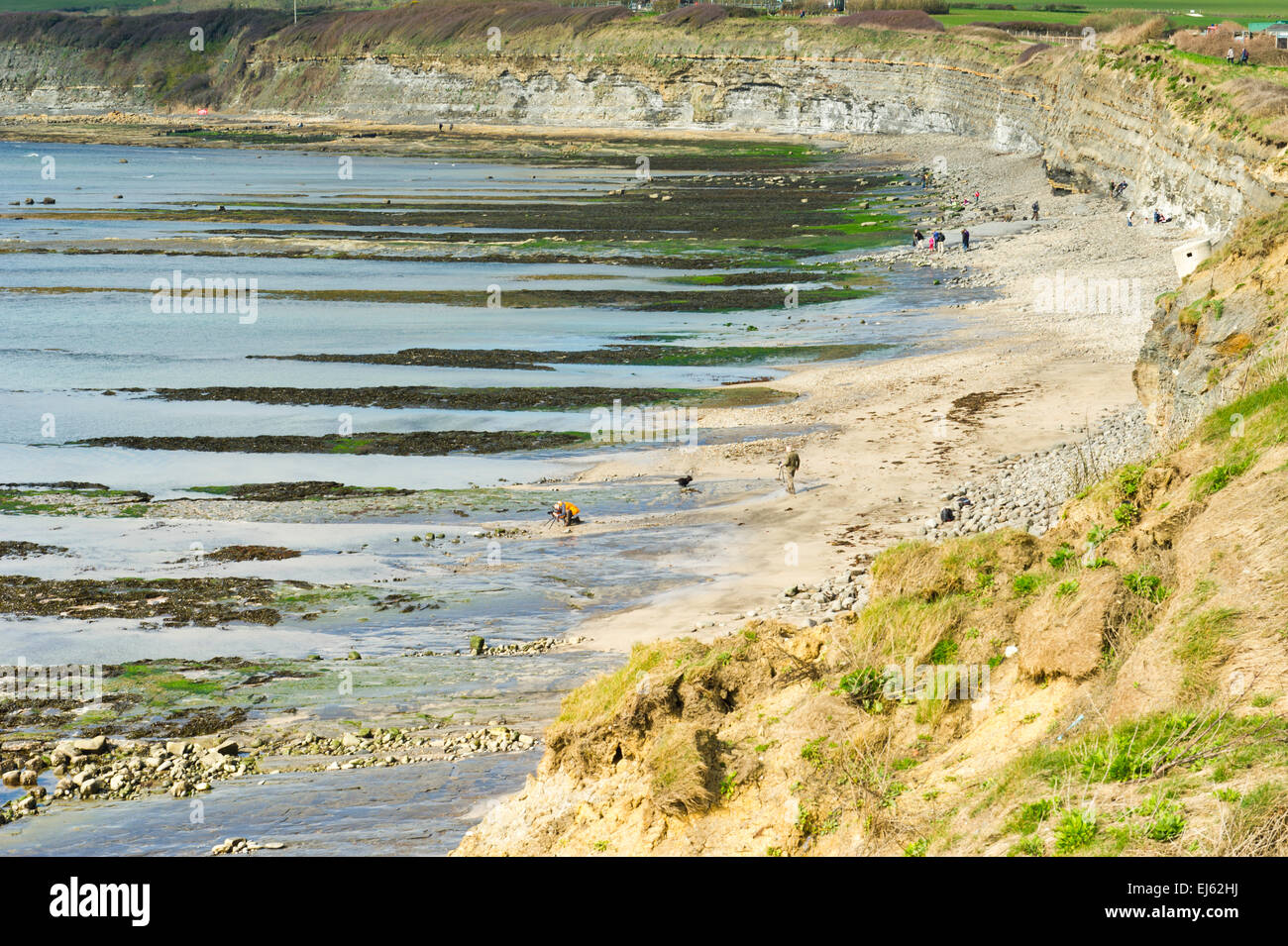 Beach at Kimmeridge Bay, Dorset, England Stock Photo - Alamy