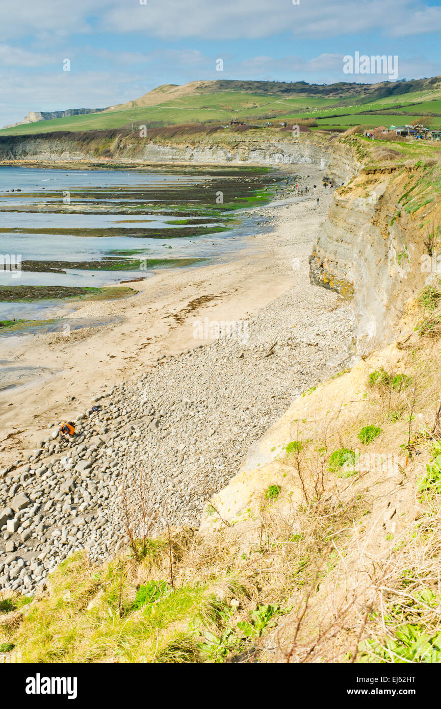 Beach at Kimmeridge Bay, Dorset, England Stock Photo - Alamy