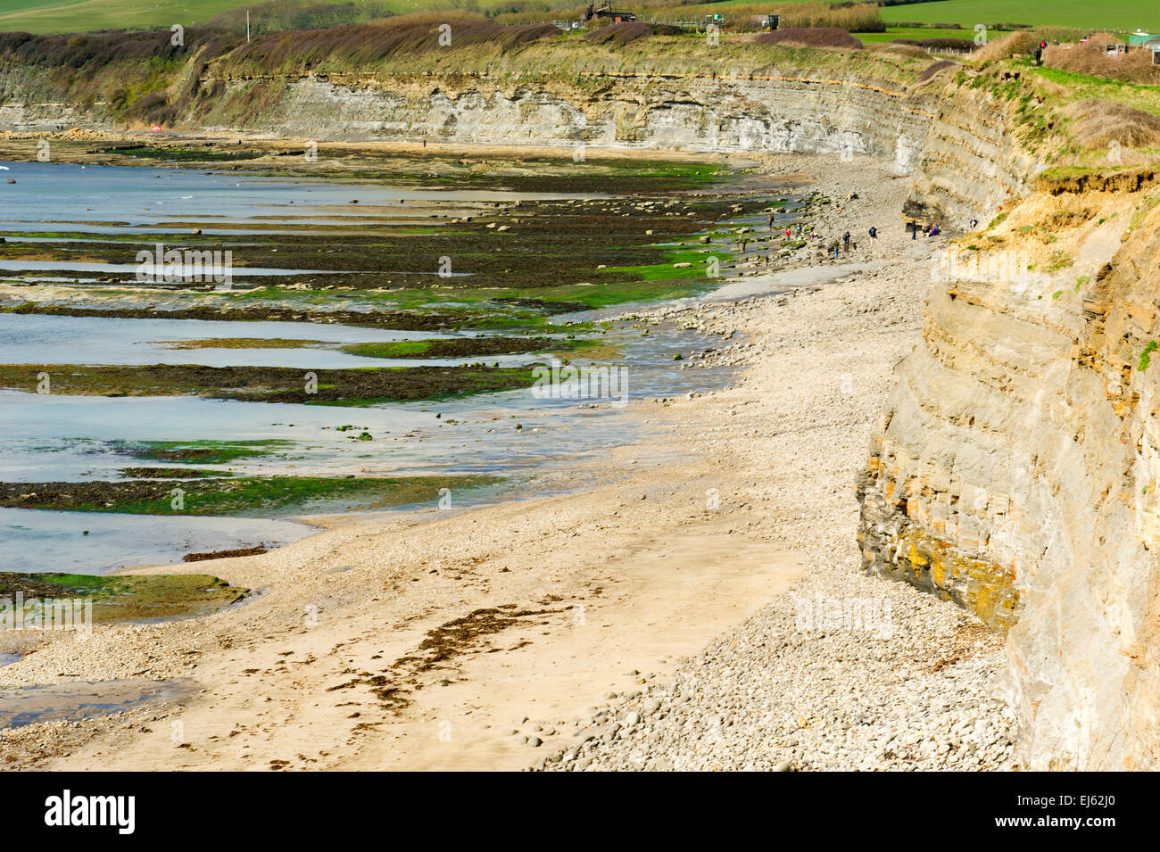 Beach at Kimmeridge Bay, Dorset, England Stock Photo - Alamy