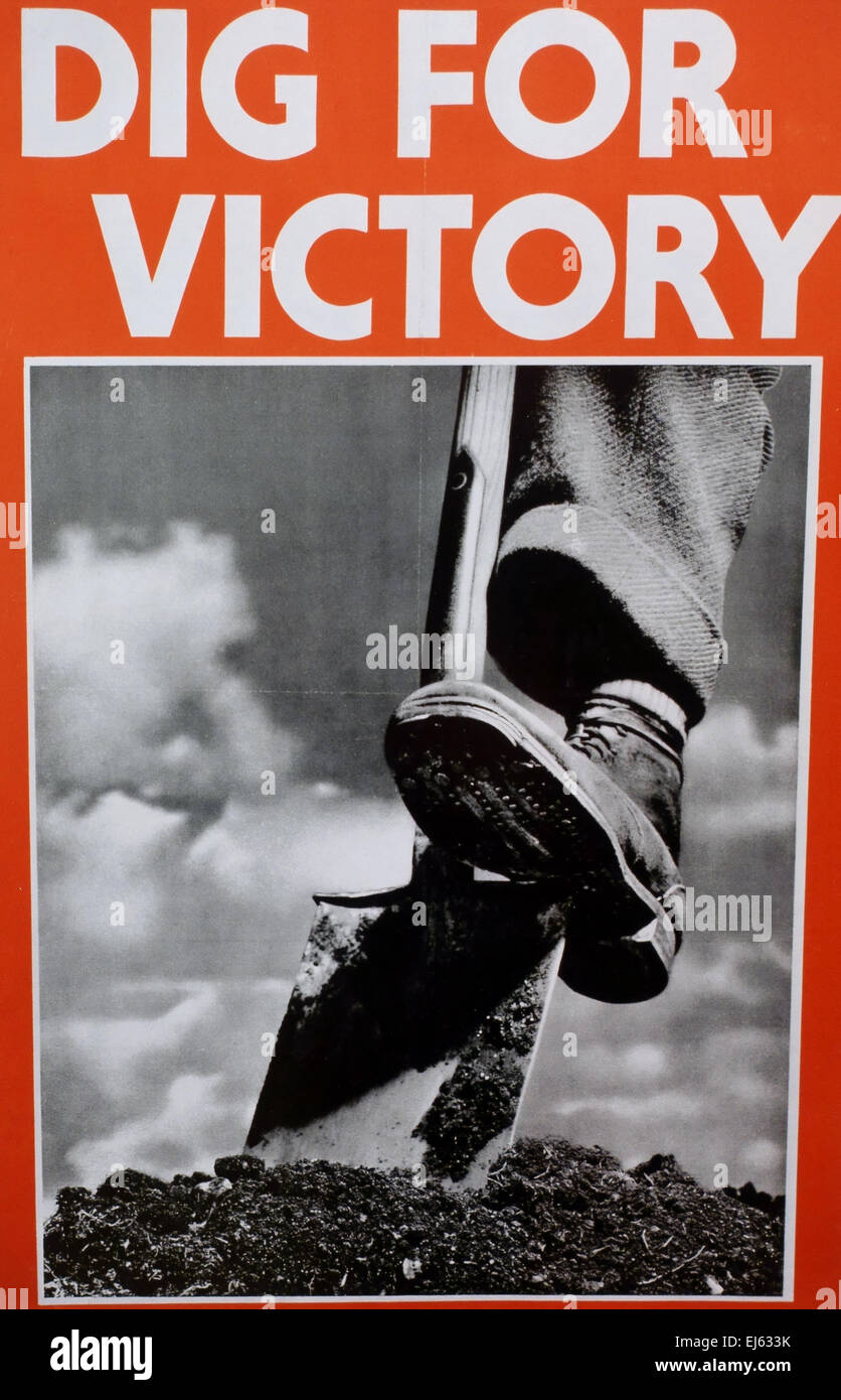 Classic "Dig For Victory" poster from Second World War urged people to ...