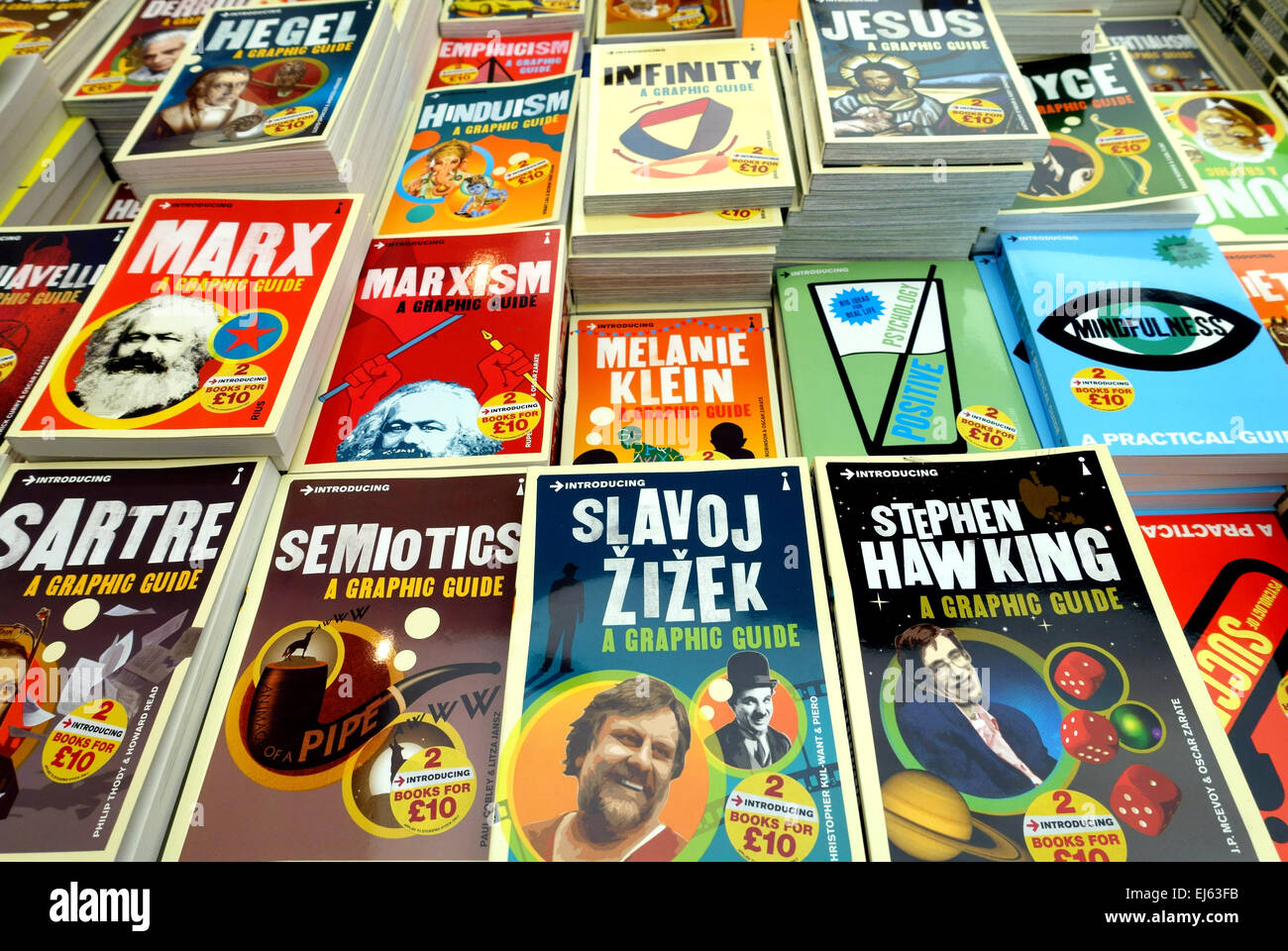 "Introducing" series of books from Icon about famous thinkers and ideas ...