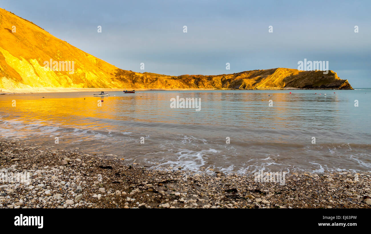 Late evening light on the cliffs at Lulworth Cove Dorset England UK ...