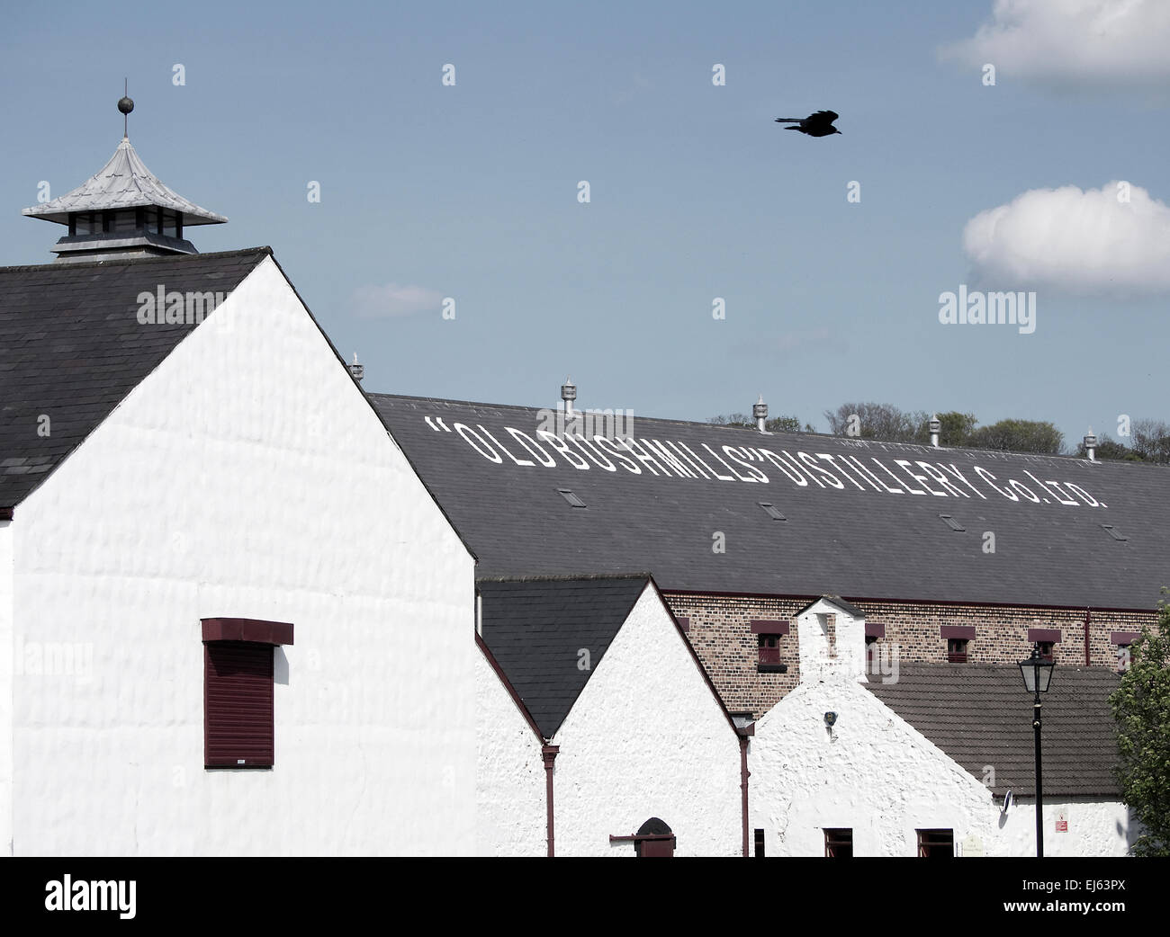 Bushmills Whiskey distillery Bushmills Northern Ireland Stock Photo - Alamy