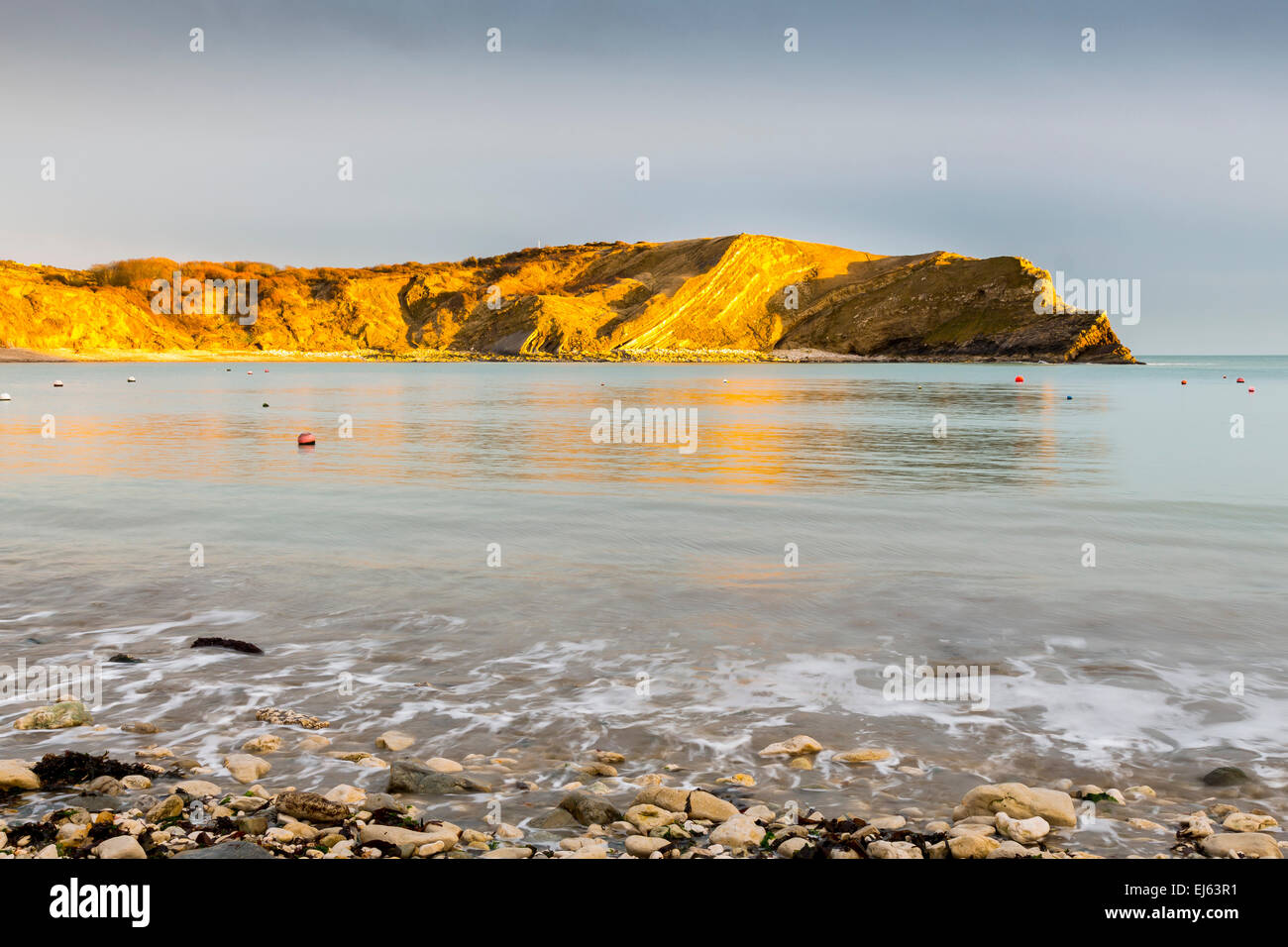 Late evening light on the cliffs at Lulworth Cove Dorset England UK ...