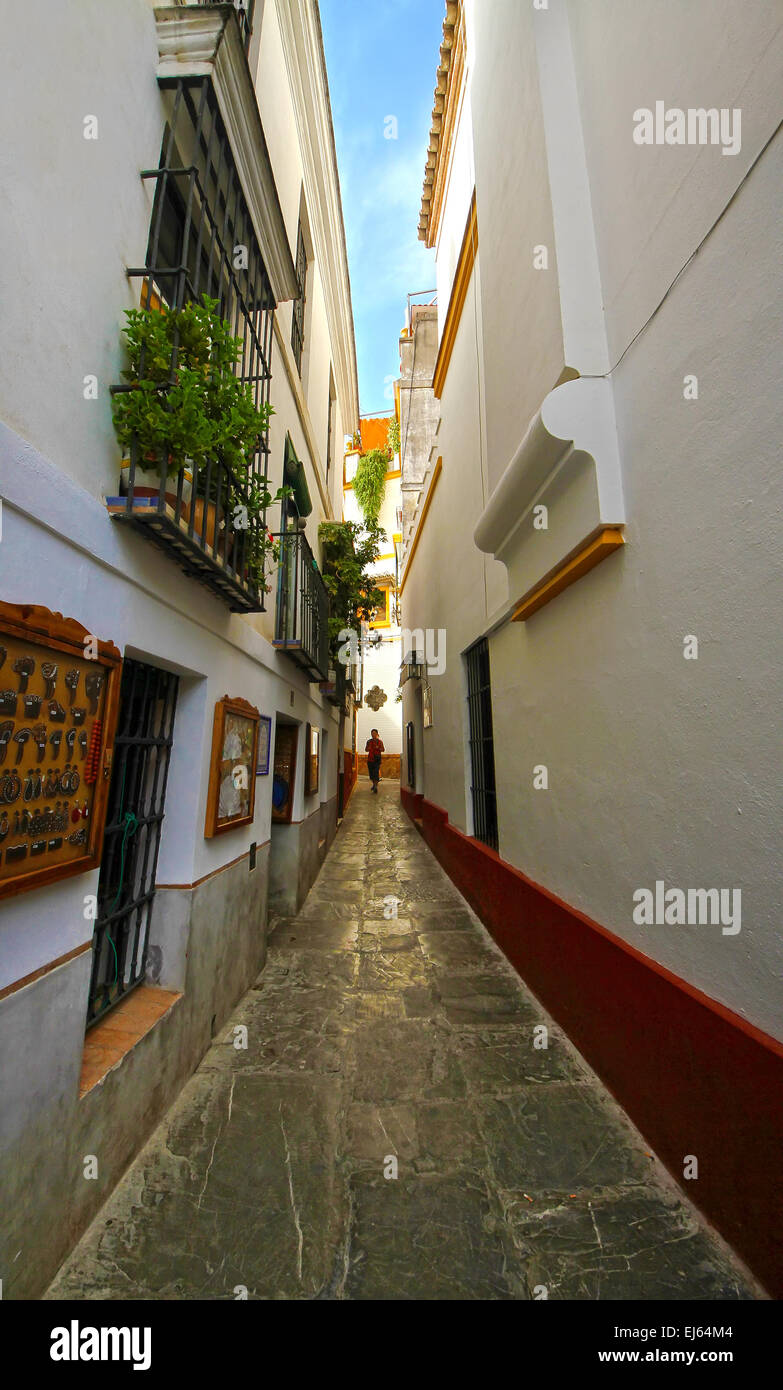 Lane with cobblestones hi-res stock photography and images - Alamy