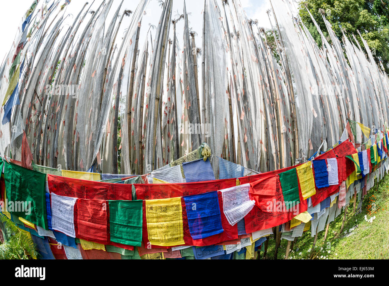 Buddhist prayer flags sikkim india hi-res stock photography and images ...