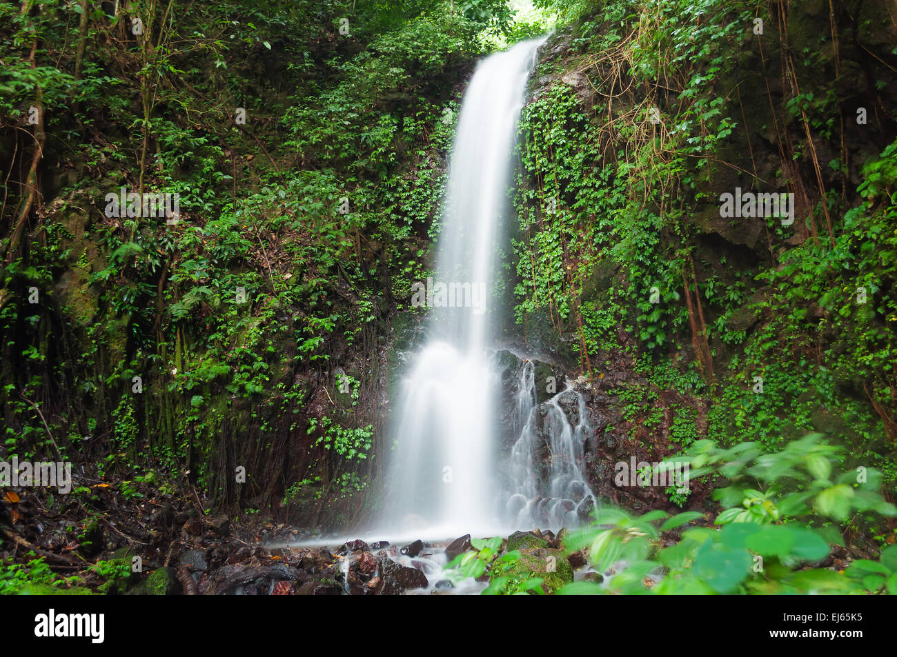 Beautiful scenery of sumatra hi-res stock photography and images - Alamy