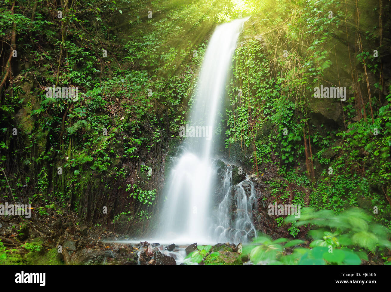 Beautiful scenery of sumatra hi-res stock photography and images - Alamy