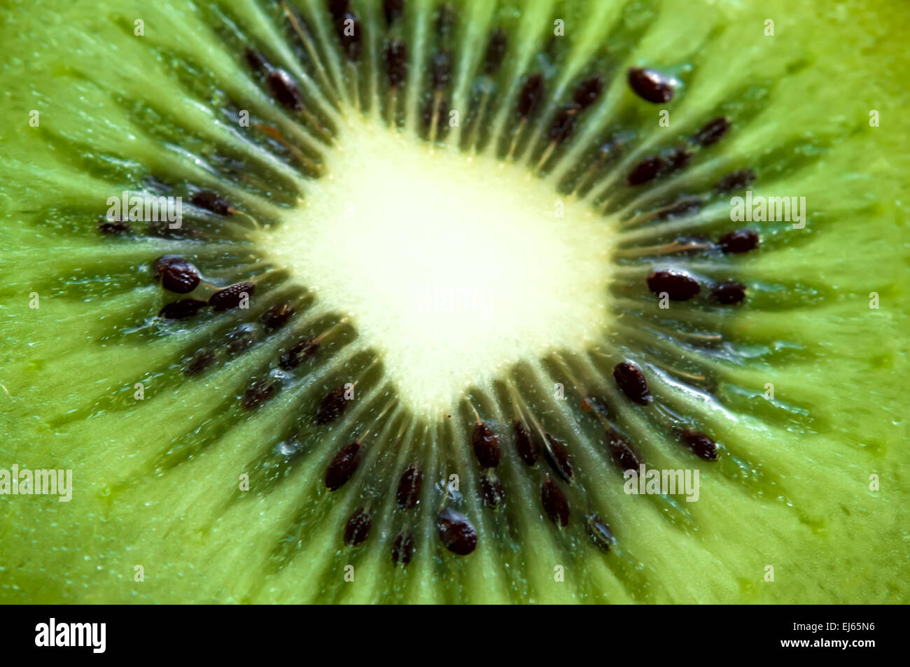 Macro kiwi fruit close up Stock Photo - Alamy