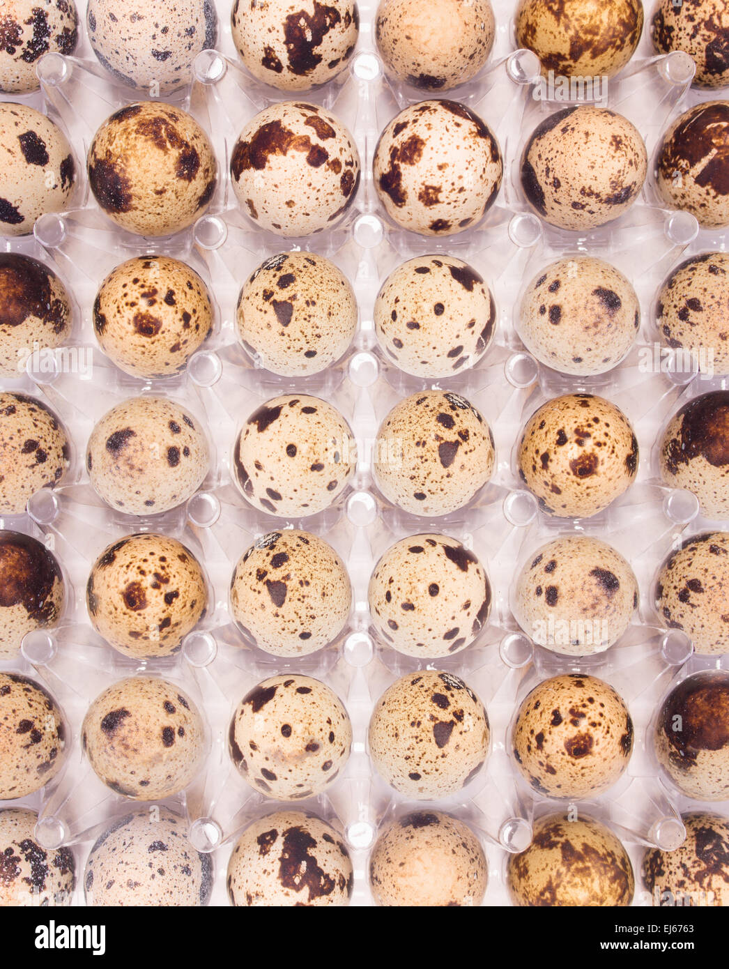 Quail eggs in a box on white background Stock Photo - Alamy