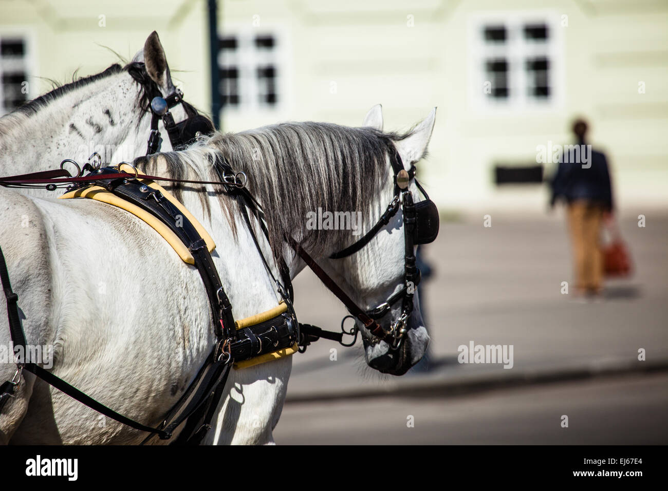 Traditional horse-drawn Fiaker carriage at famous Hofburg Palace in ...