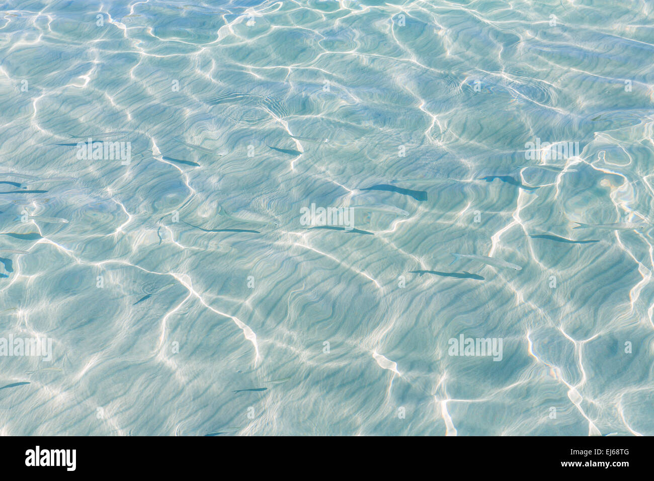Tropical sea water texture reflections like paradise summer vacation ...