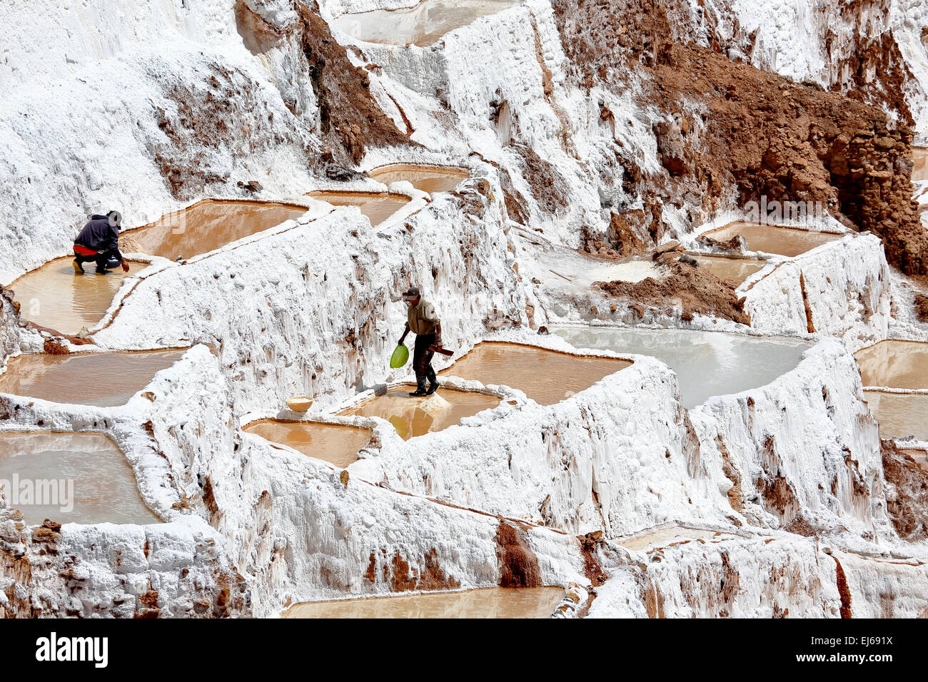 Salt pans and men collecting salt, Salineras (salt mines), Cusco, Peru ...