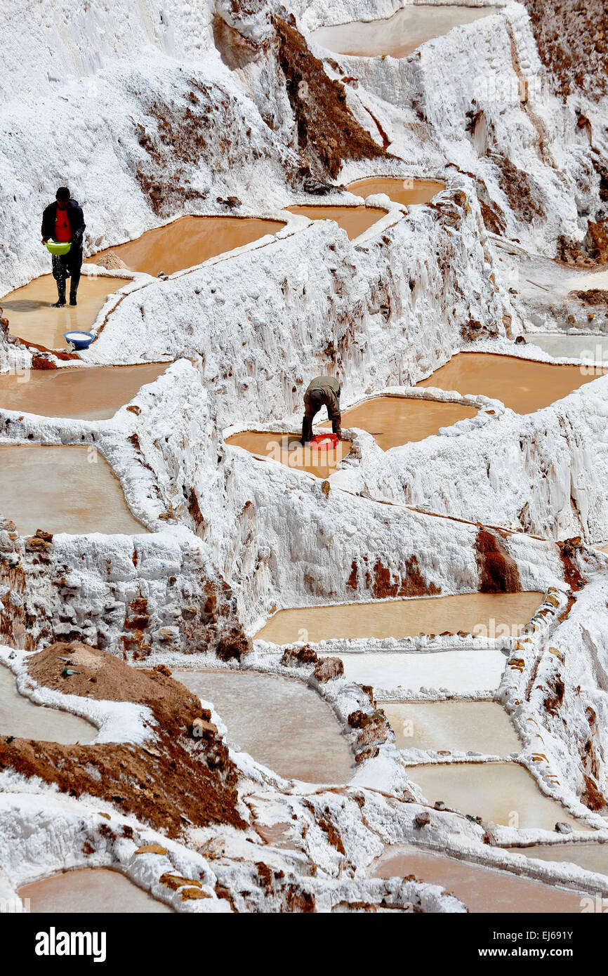 Salt pans and men collecting salt, Salineras (salt mines), Cusco, Peru ...