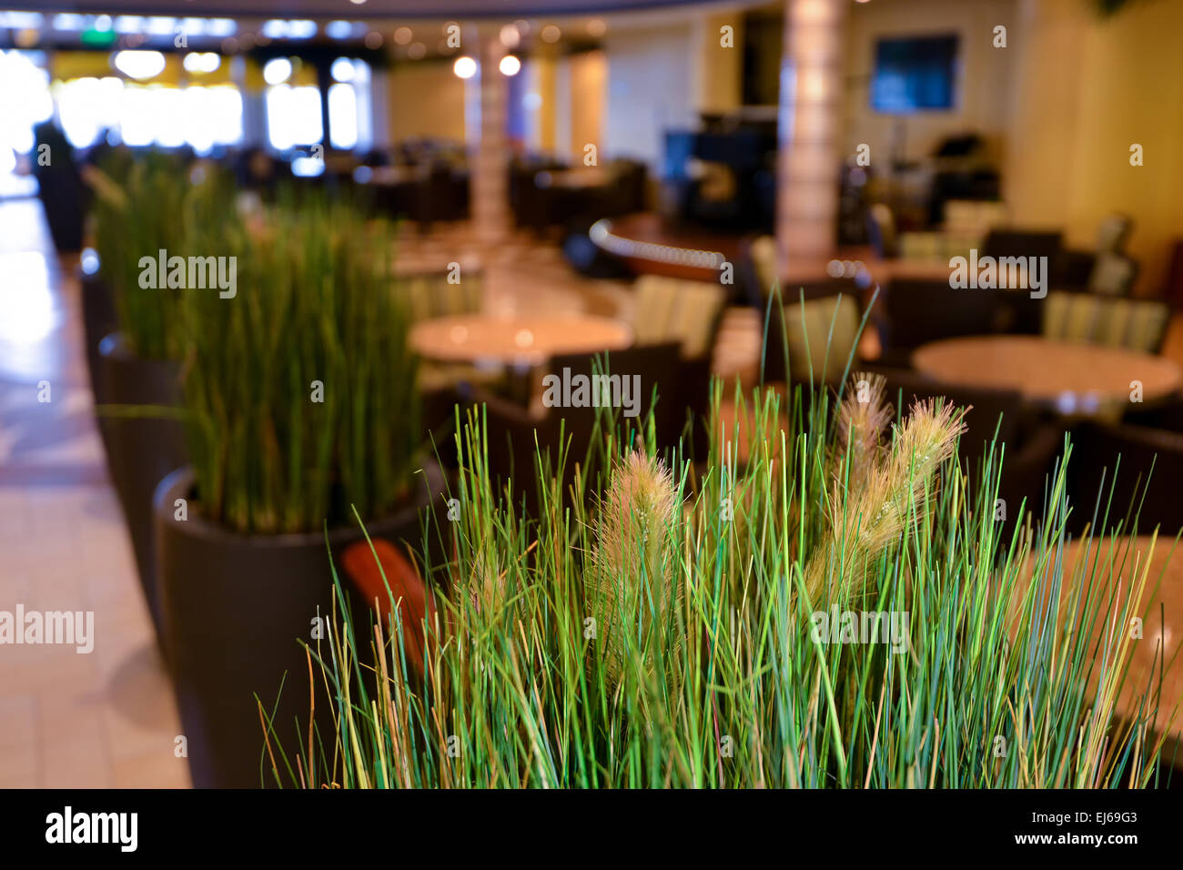 Elegant restaurant dining space, green grass Stock Photo - Alamy