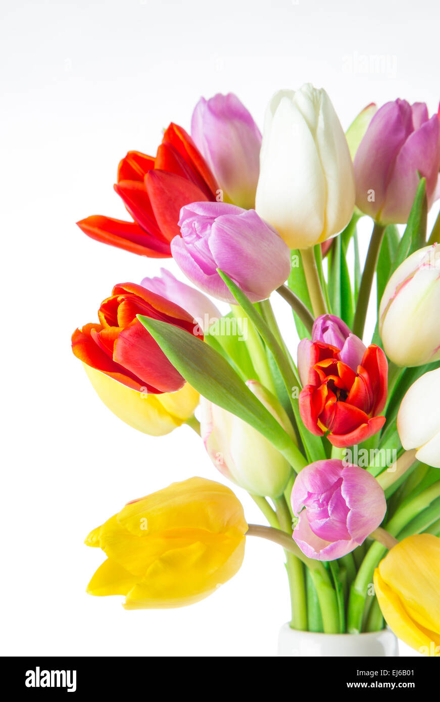 tulips over white background, bouquet of spring easter flowers Stock ...