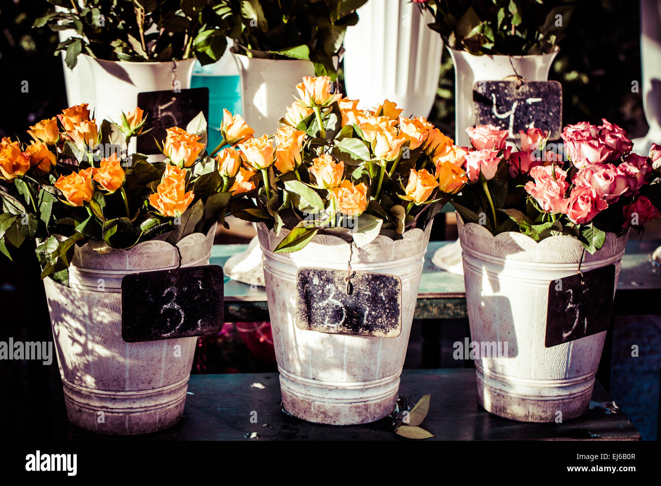 Colorful flowers in a flower shop on a market Stock Photo - Alamy
