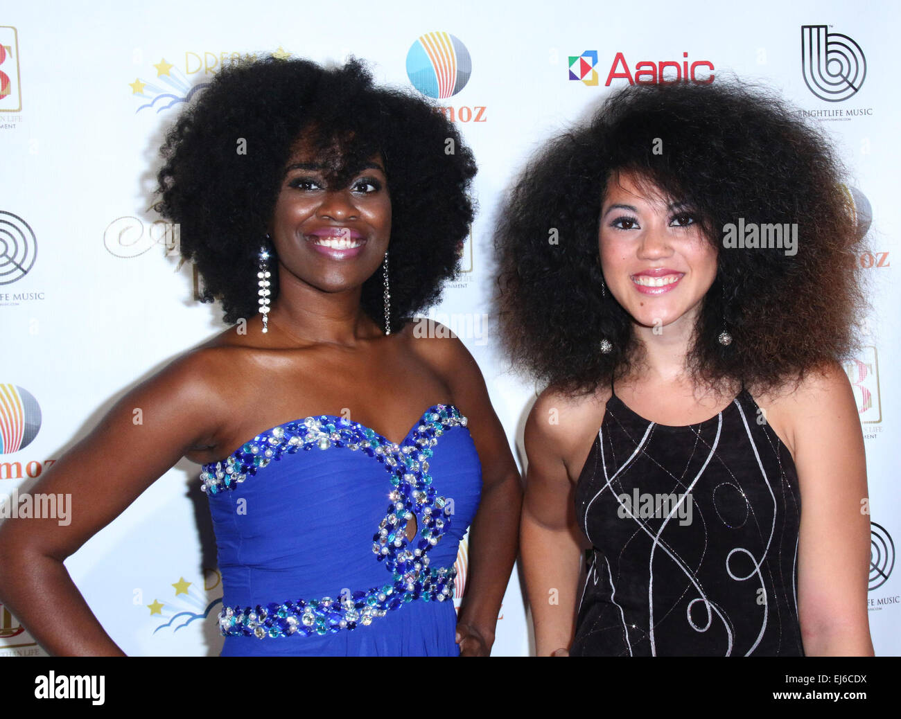 The 2014 Nollywood & African Film Critics Awards held at the Saban ...