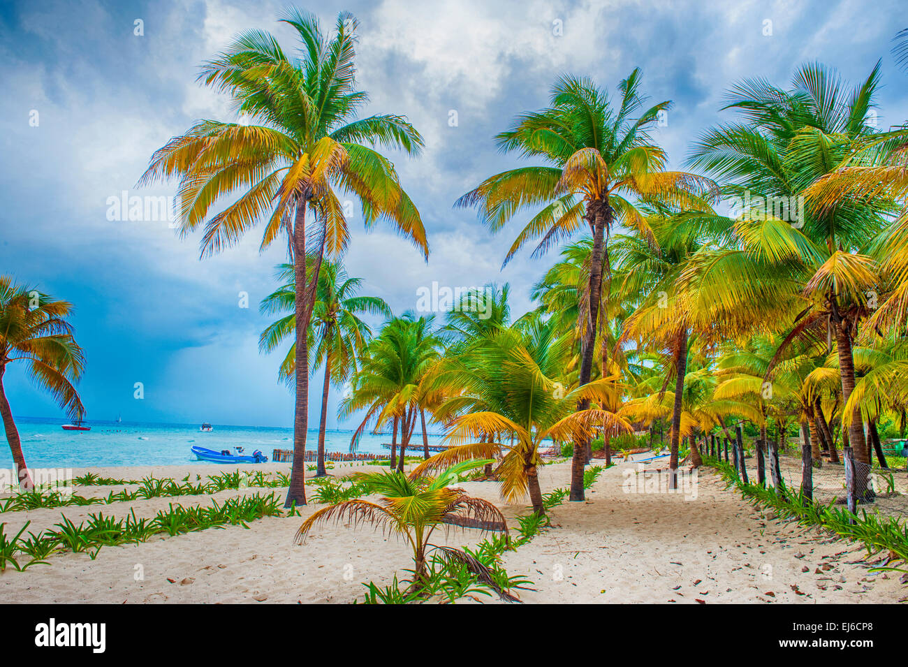 Isla Mujeres Beach Shoreline Stock Photo - Alamy