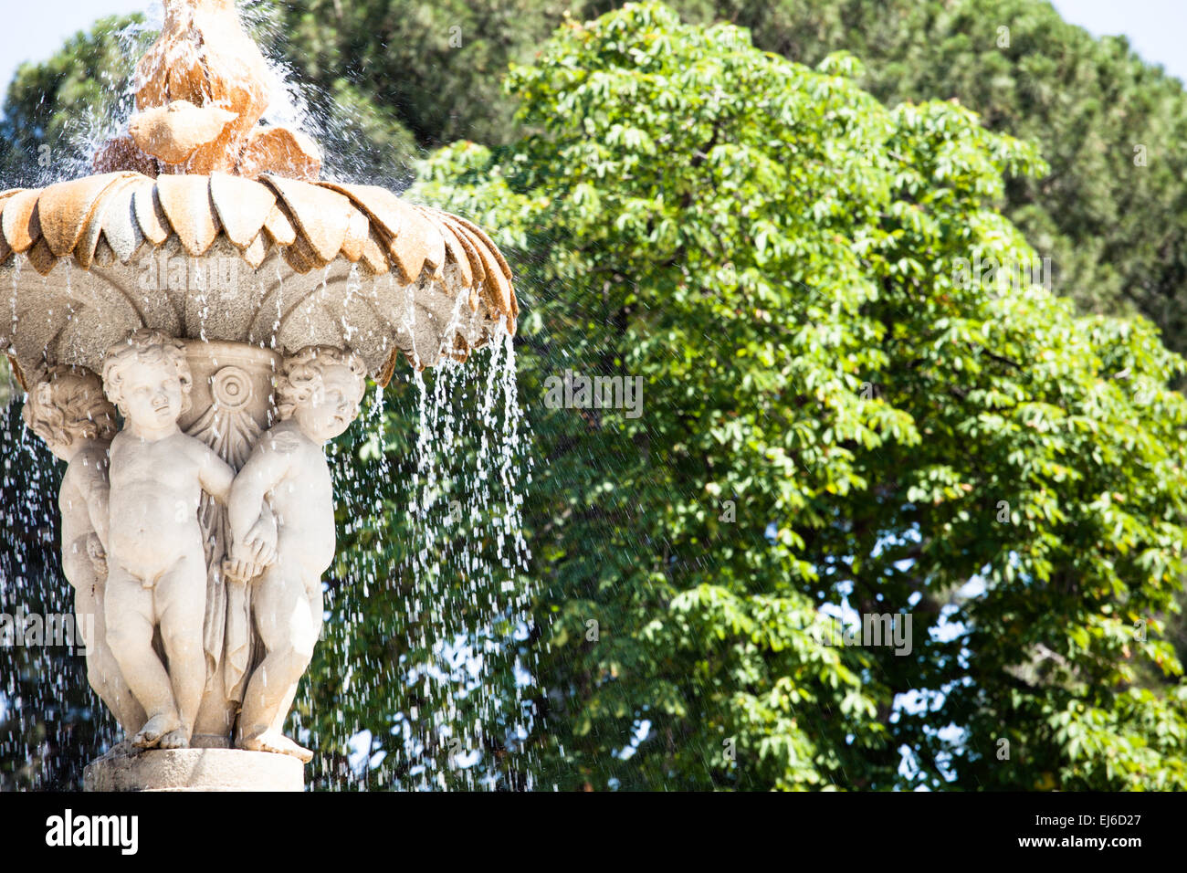 Outstanding cypress trees in Retiro Park in Madrid, Spain Stock Photo ...