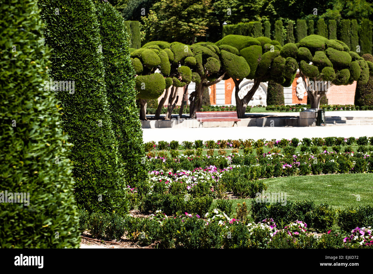 Outstanding cypress trees in Retiro Park in Madrid, Spain Stock Photo ...