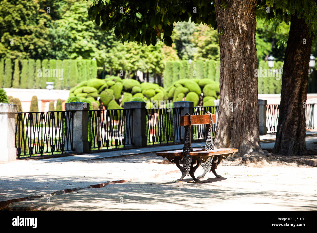 Outstanding cypress trees in Retiro Park in Madrid, Spain Stock Photo ...