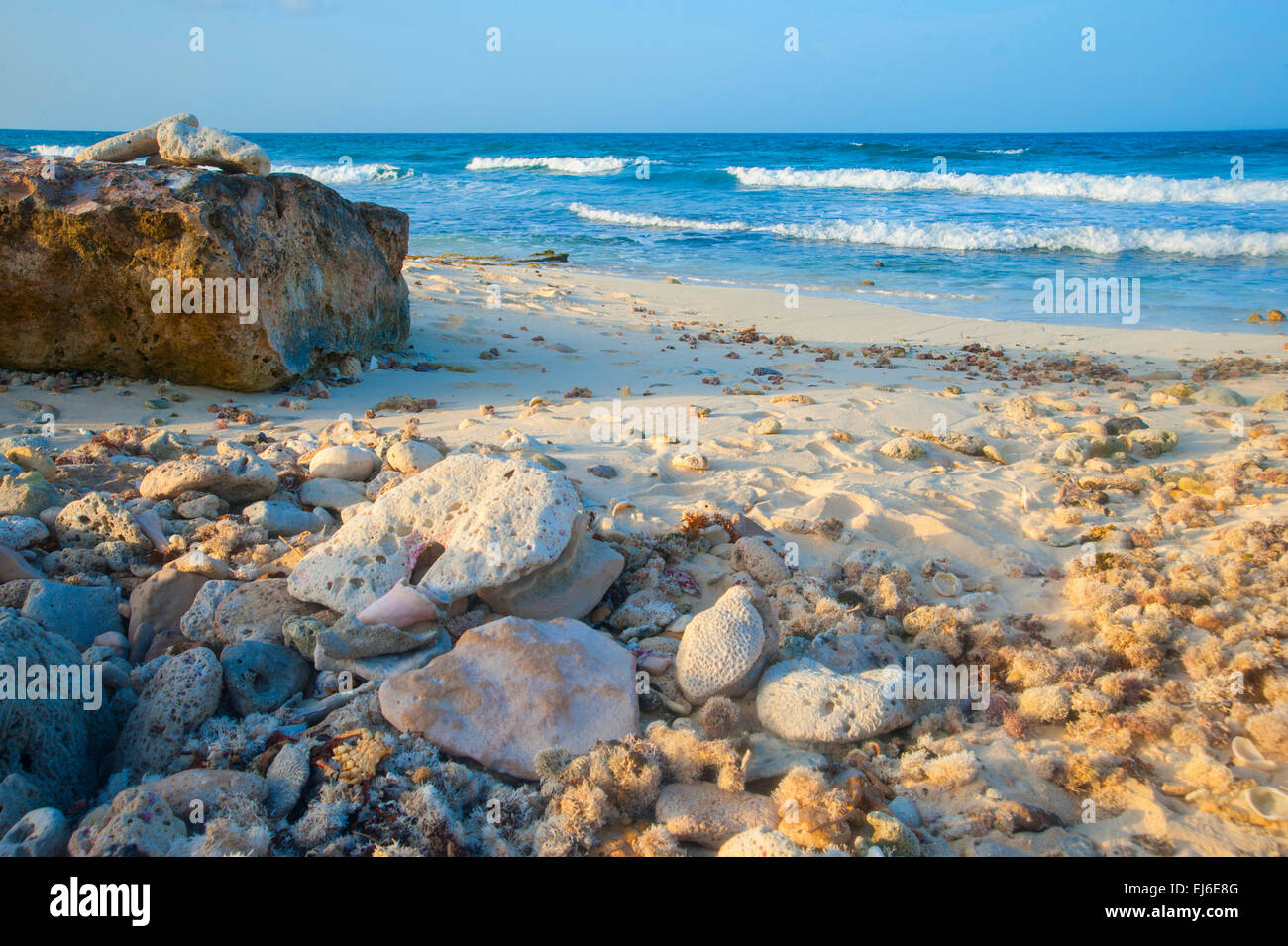 Macro Beach Detail Stock Photo - Alamy