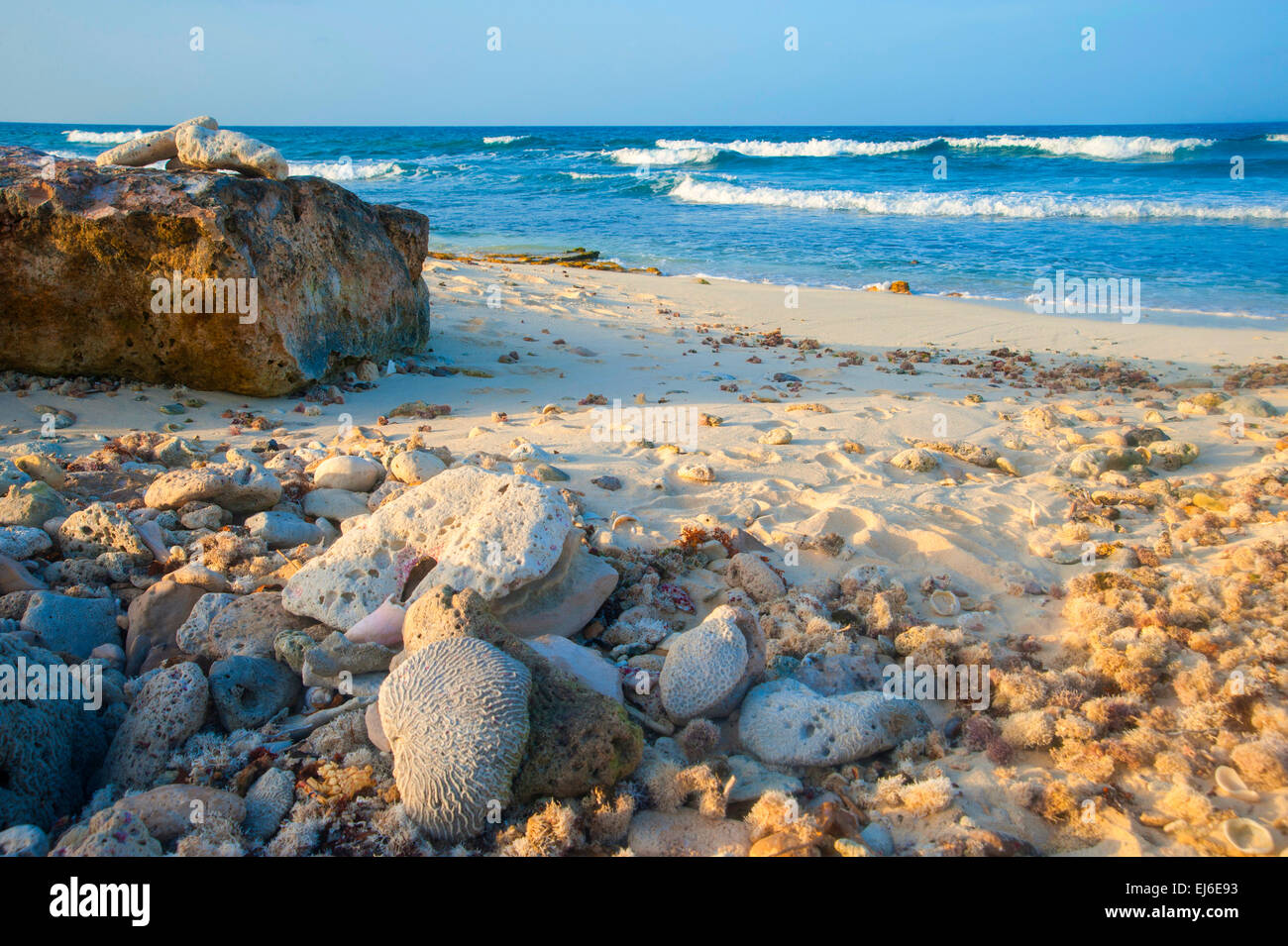 Macro Beach Detail Stock Photo - Alamy