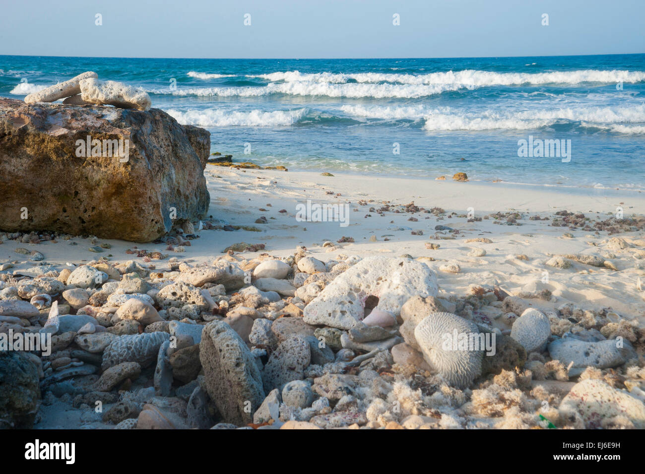 Macro Beach Detail Stock Photo - Alamy
