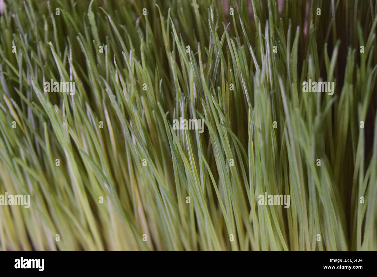 A close up of faux grass Stock Photo - Alamy
