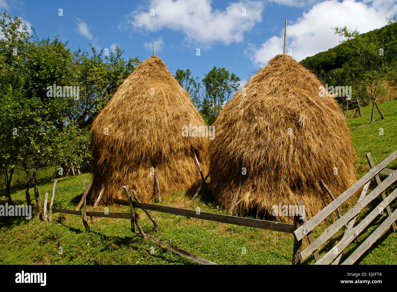 Haystacks in the countryside in Romania Stock Photo - Alamy