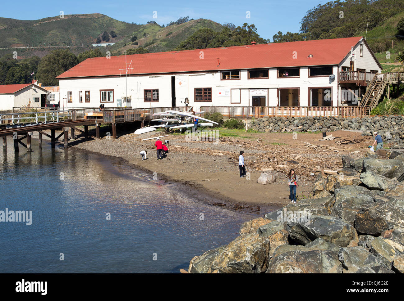 Collecting shells at the beach hi-res stock photography and images - Alamy